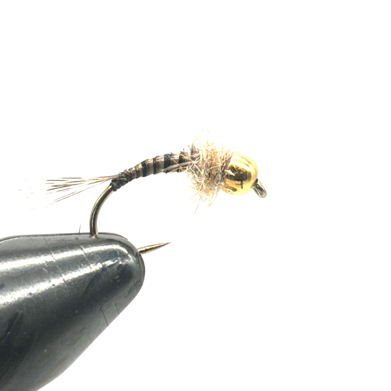 Nymphe Tungstène Quill – Caleri Fly Fishing